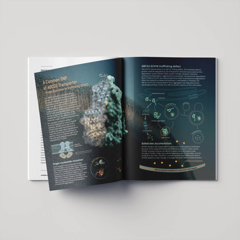 Phlebotomy Procedure - YUSIN Biomedical Visualization