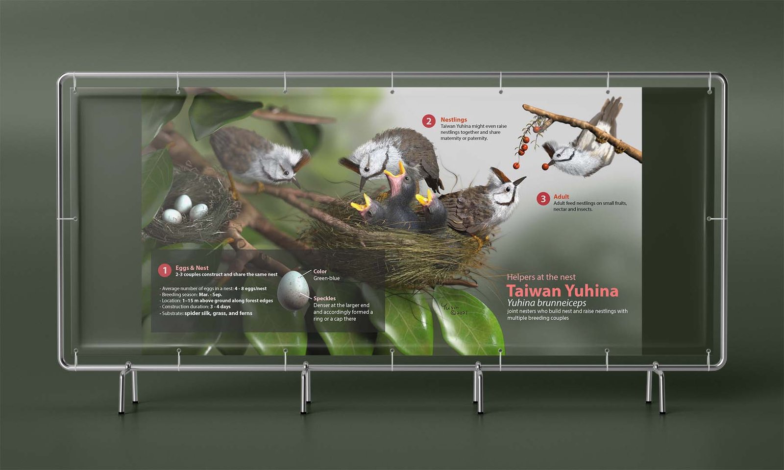 Phlebotomy Procedure - YUSIN Biomedical Visualization